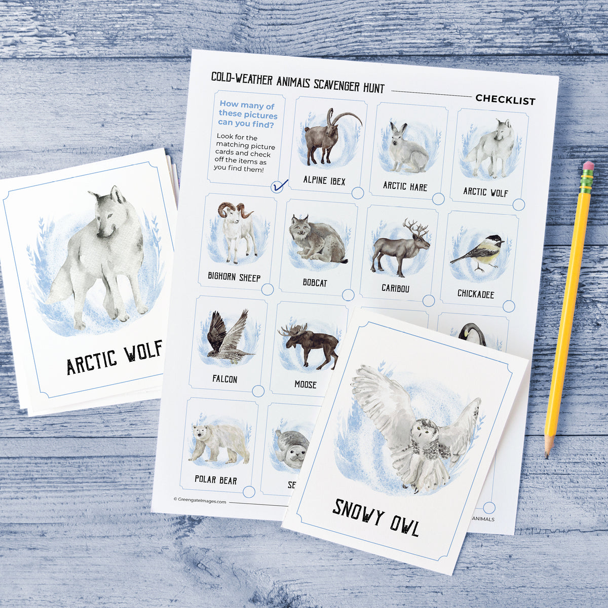 Winter Animals Scavenger Hunt – Greengate Images