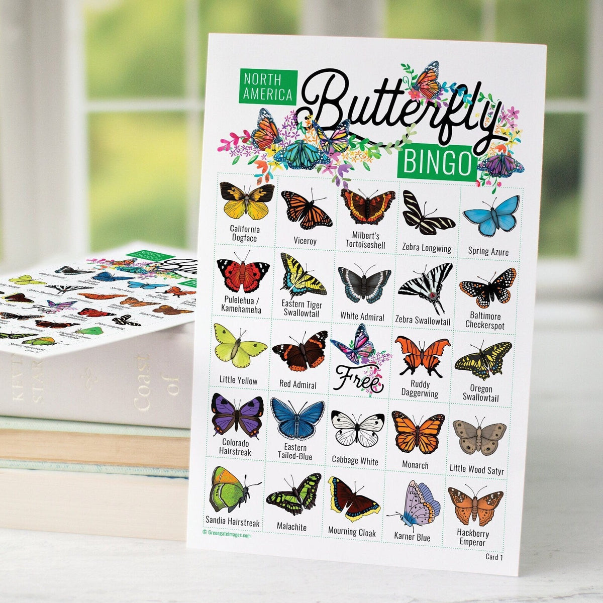 Butterfly Bingo - North American Species – Greengate Images