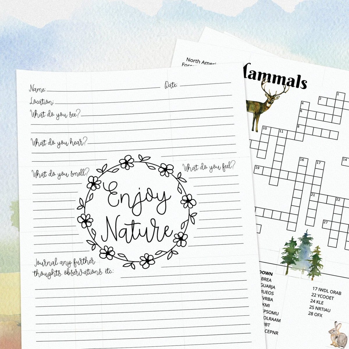 Nature Activity Printables Pack – Greengate Images